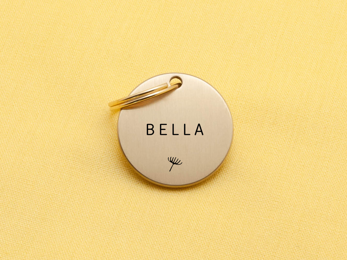 Personalised Heavy Duty Brass Dandelion Pet ID Tag. 4 Sizes for Cats ...